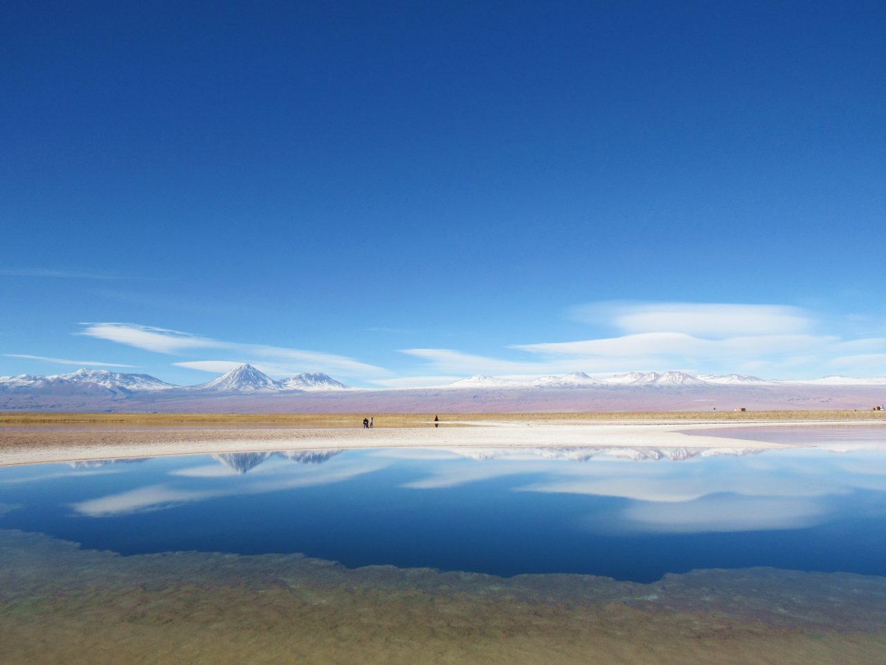 Laguna Cejar, Ojos del Salar e Laguna Tebinquinche - Vivi na Viagem