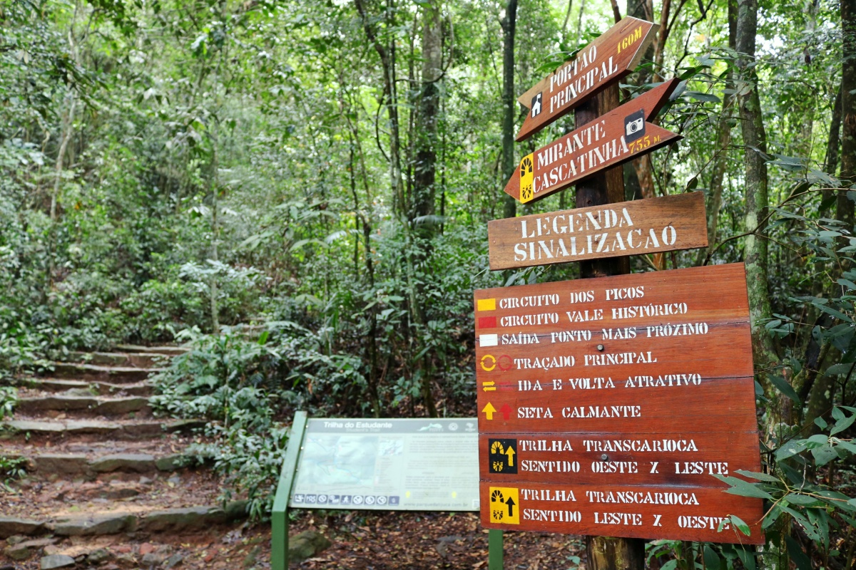 Trilha na Floresta da Tijuca com a Jungle Me - Vivi na Viagem