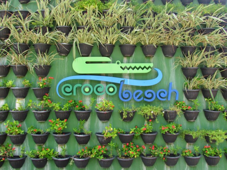 Barraca Crocobeach – Praia do Futuro (Fortaleza - CE) - Vivi na Viagem