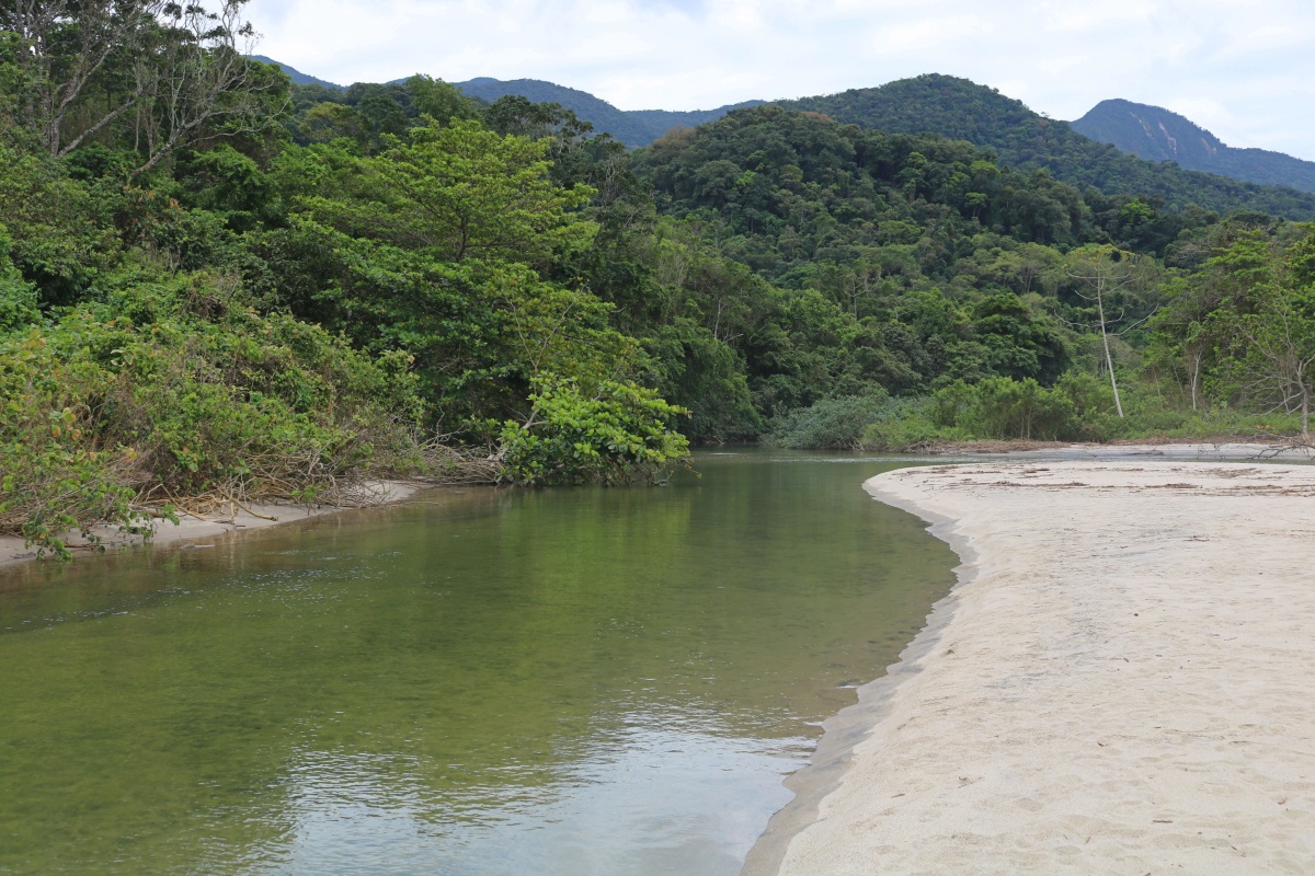 Praia de Castelhanos: Passeio terra e mar (Ilhabela) - Vivi na Viagem